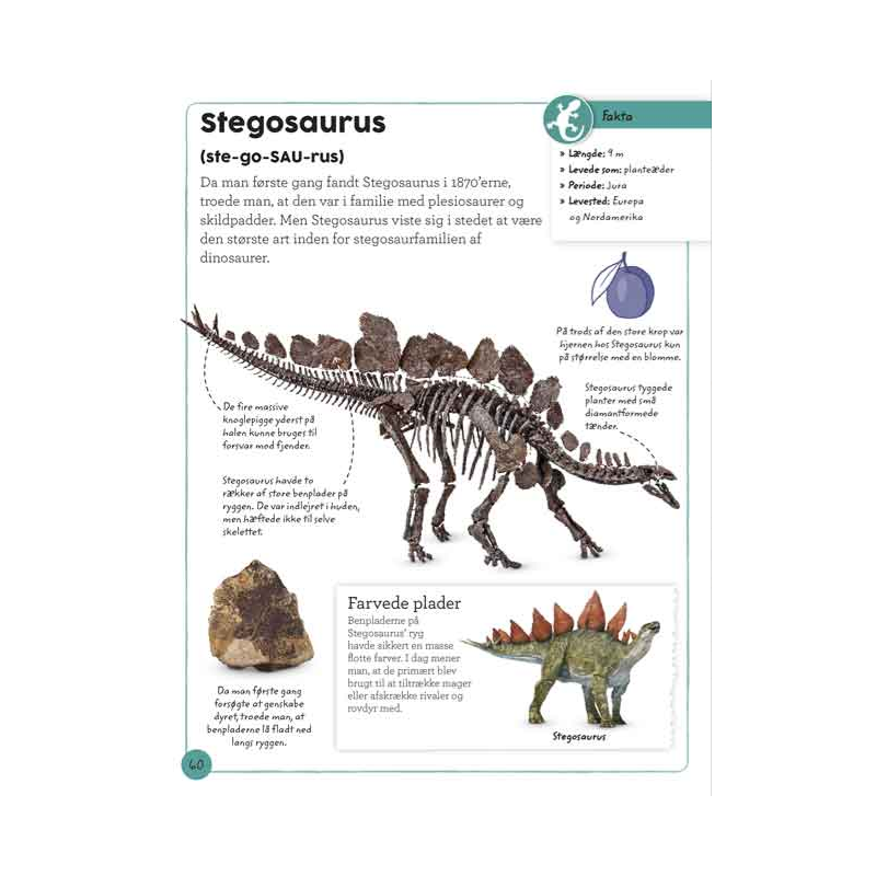 Bog: Min bog om fossiler - Treasurehunter.dk