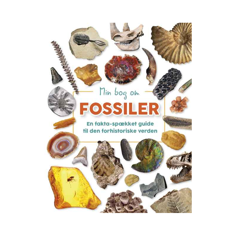 Bog: Min bog om fossiler - Treasurehunter.dk